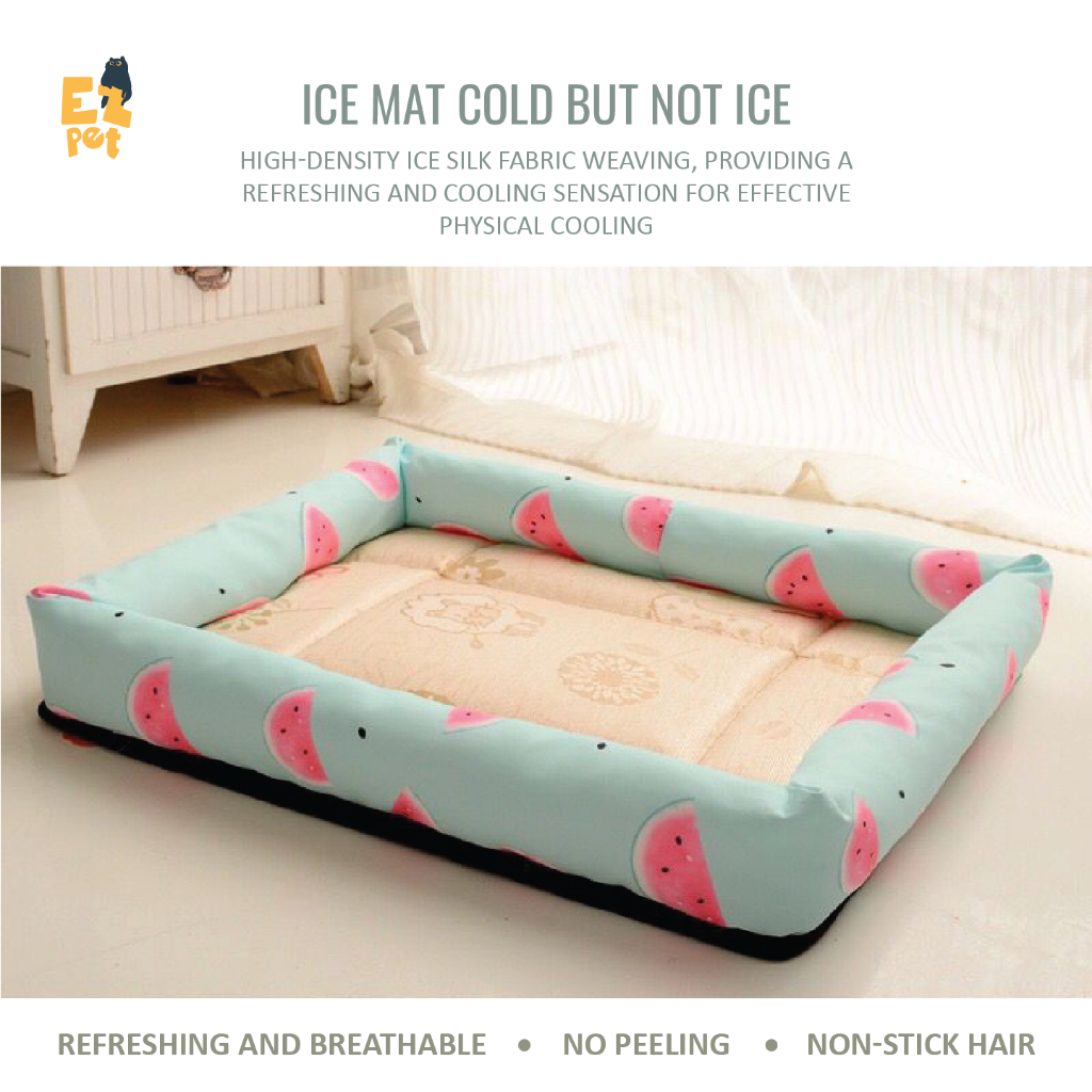 Raya Cat Costume | Ezpet Official Store