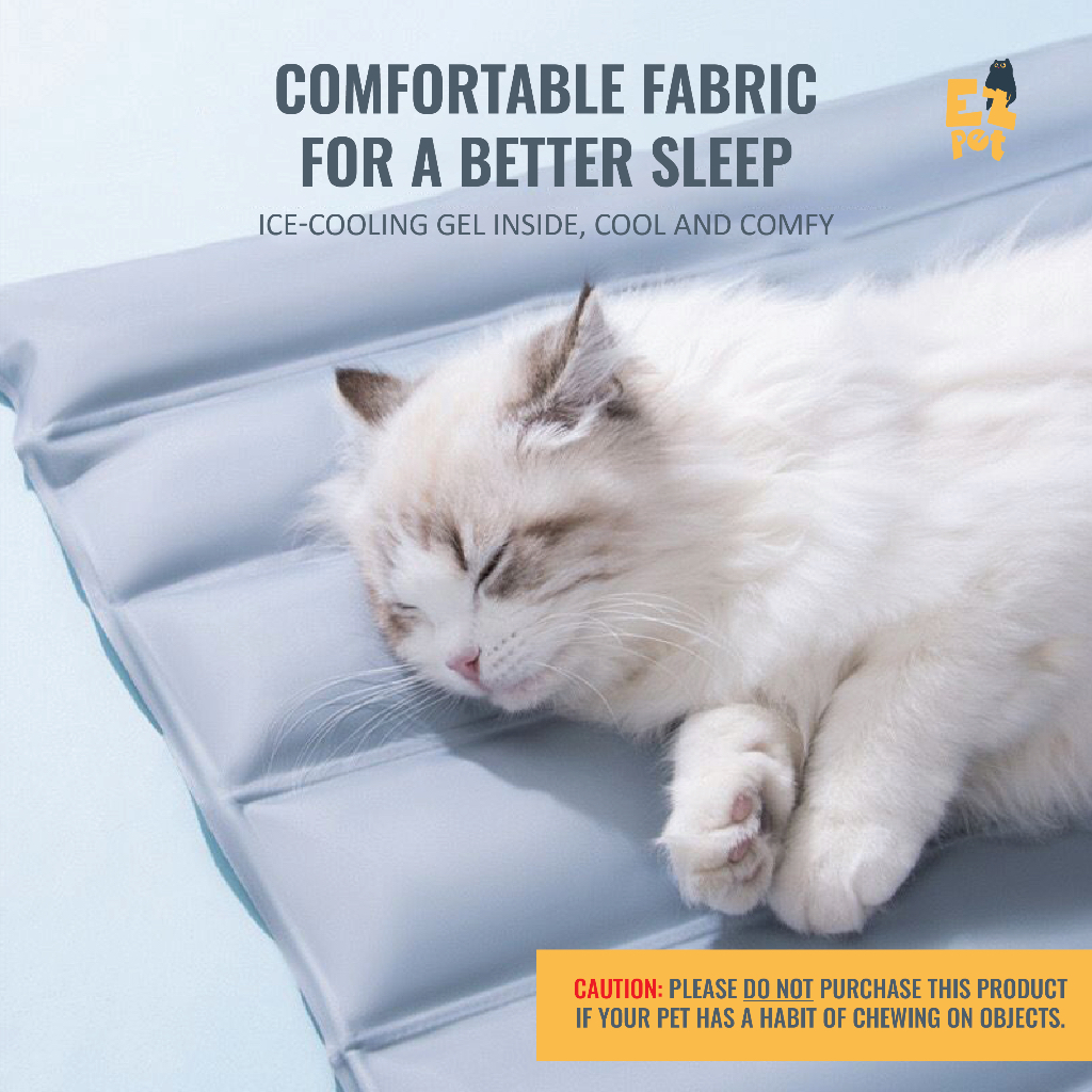 Raya Cat Costume | Ezpet Official Store