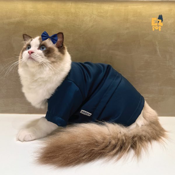 Raya Cat Costume - Ribbon | Ezpet Official Store